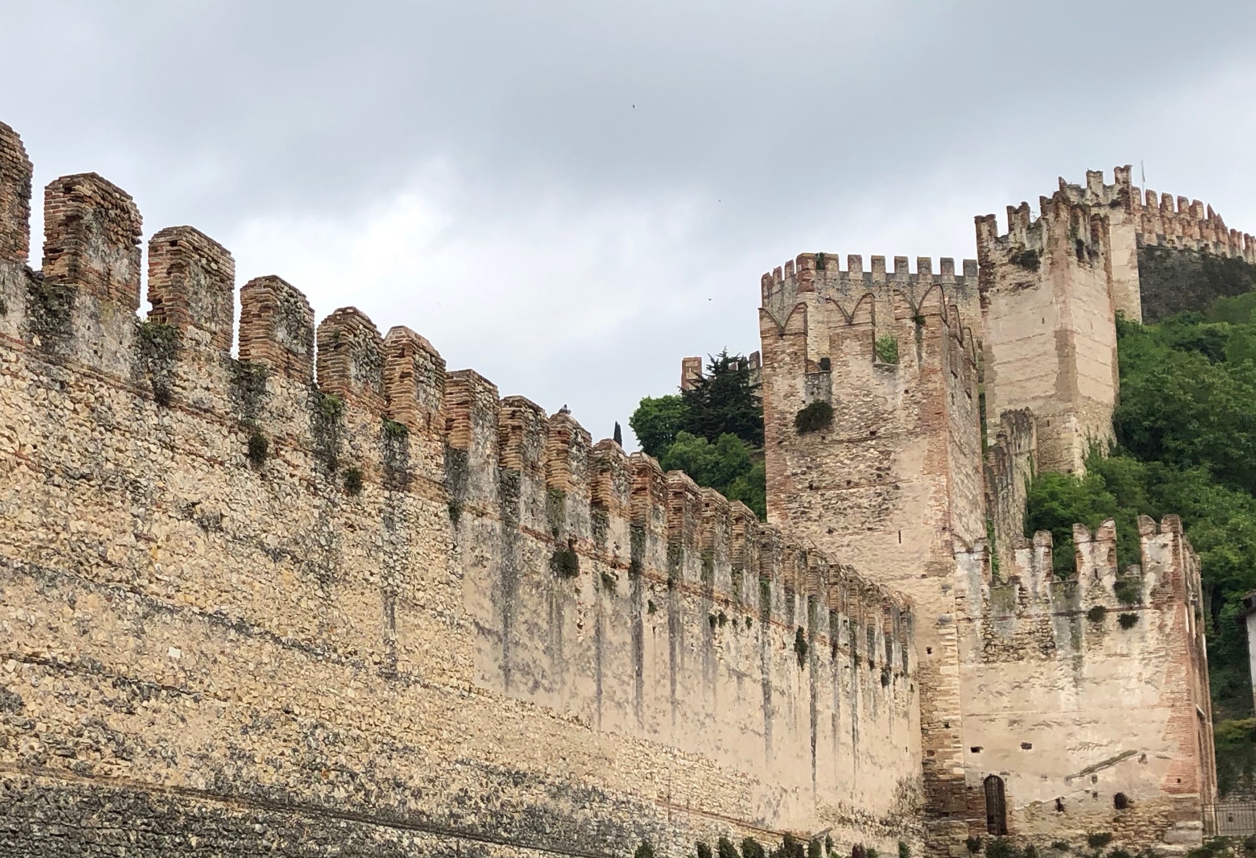 Potential of aged Soave – Stephen Quinn, PhD